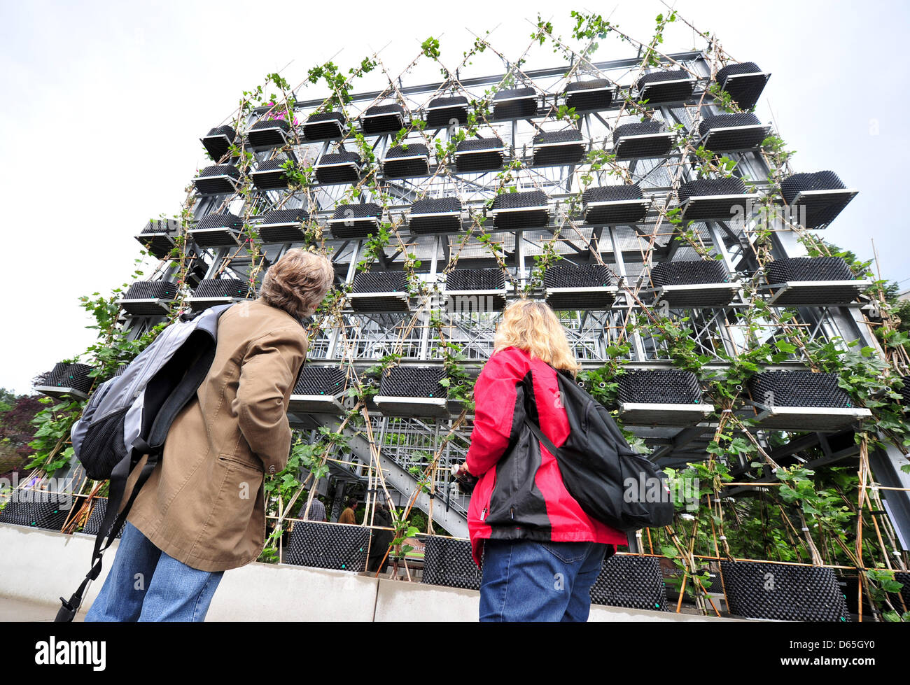 Plane tree cube hi-res stock photography and images - Alamy