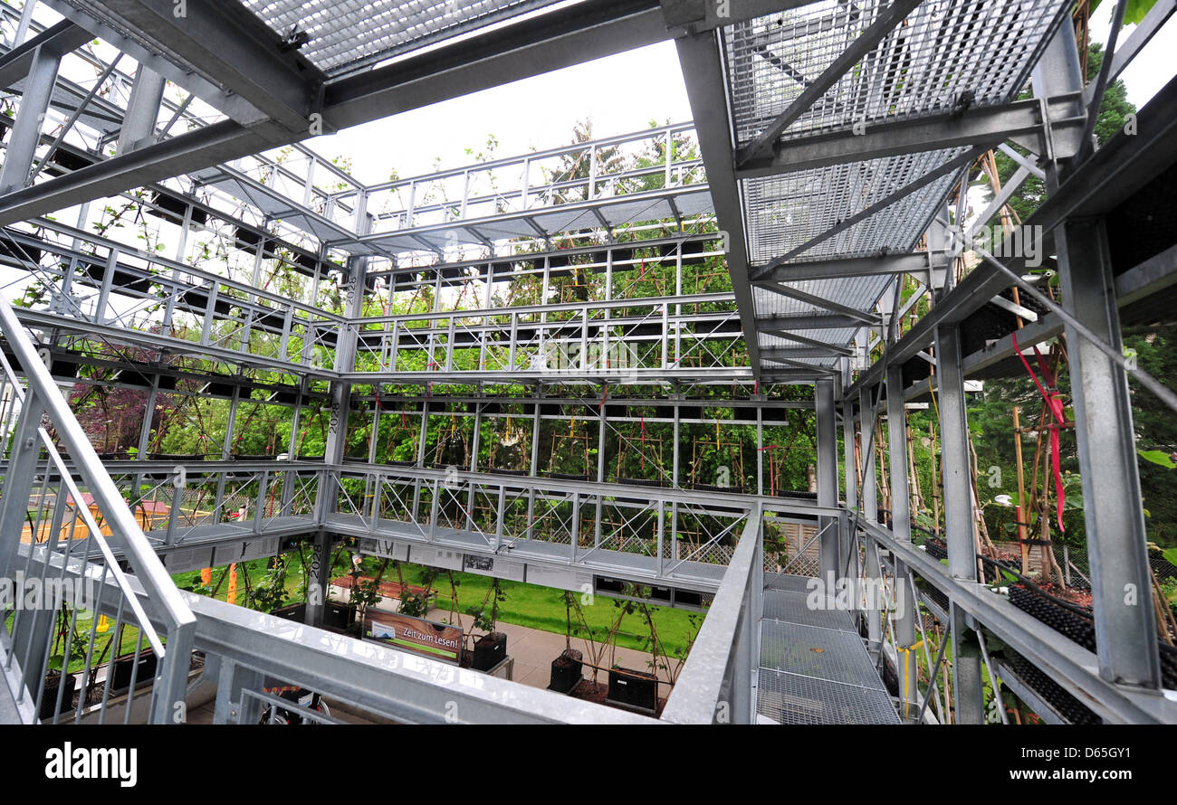 The Plane-Tree-Cube is pictured at the regional horticultural show 2012 ...
