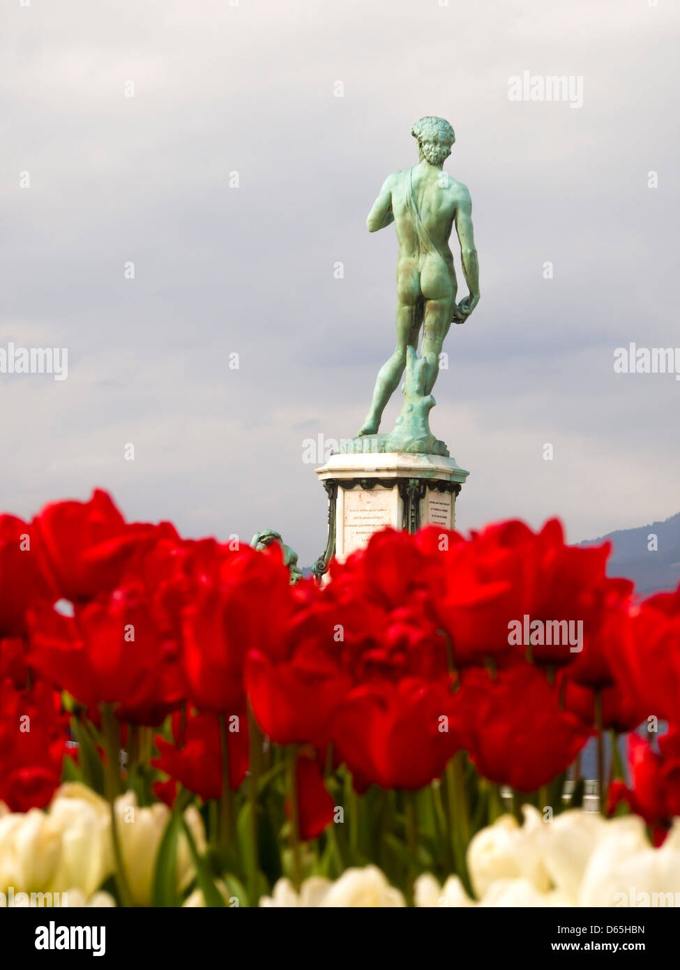 The david statue hi-res stock photography and images - Alamy