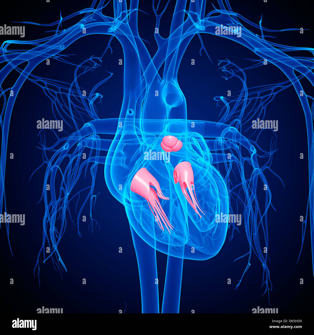 Heart artwork hi-res stock photography and images - Alamy