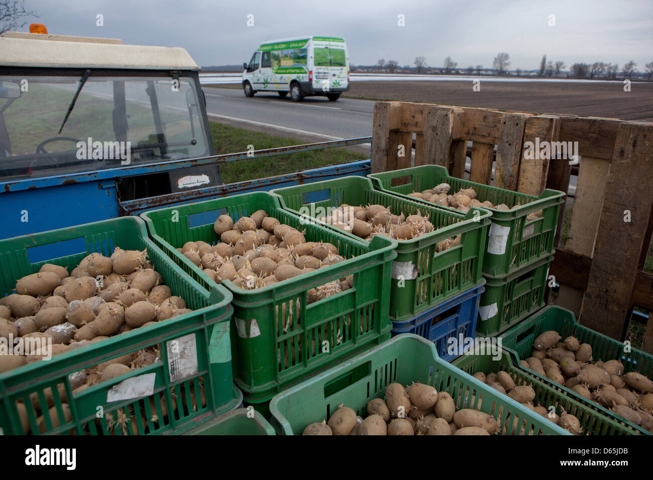 Spring potato hi-res stock photography and images - Alamy
