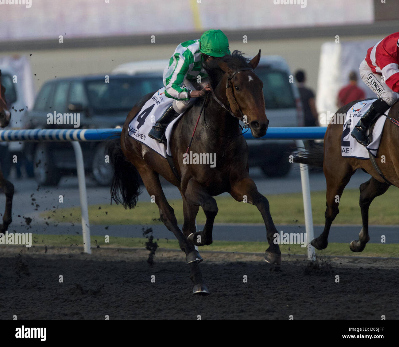 March 30, 2013 - Dubai, Dubai, U.S. - Lines of Battle wins the UAE ...