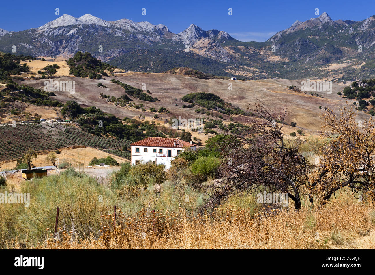 Spanish rural landscape with mountains Stock Photo - Alamy