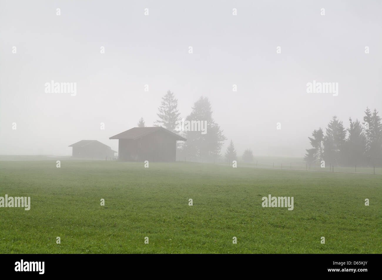 trees and farms in fog Stock Photo - Alamy