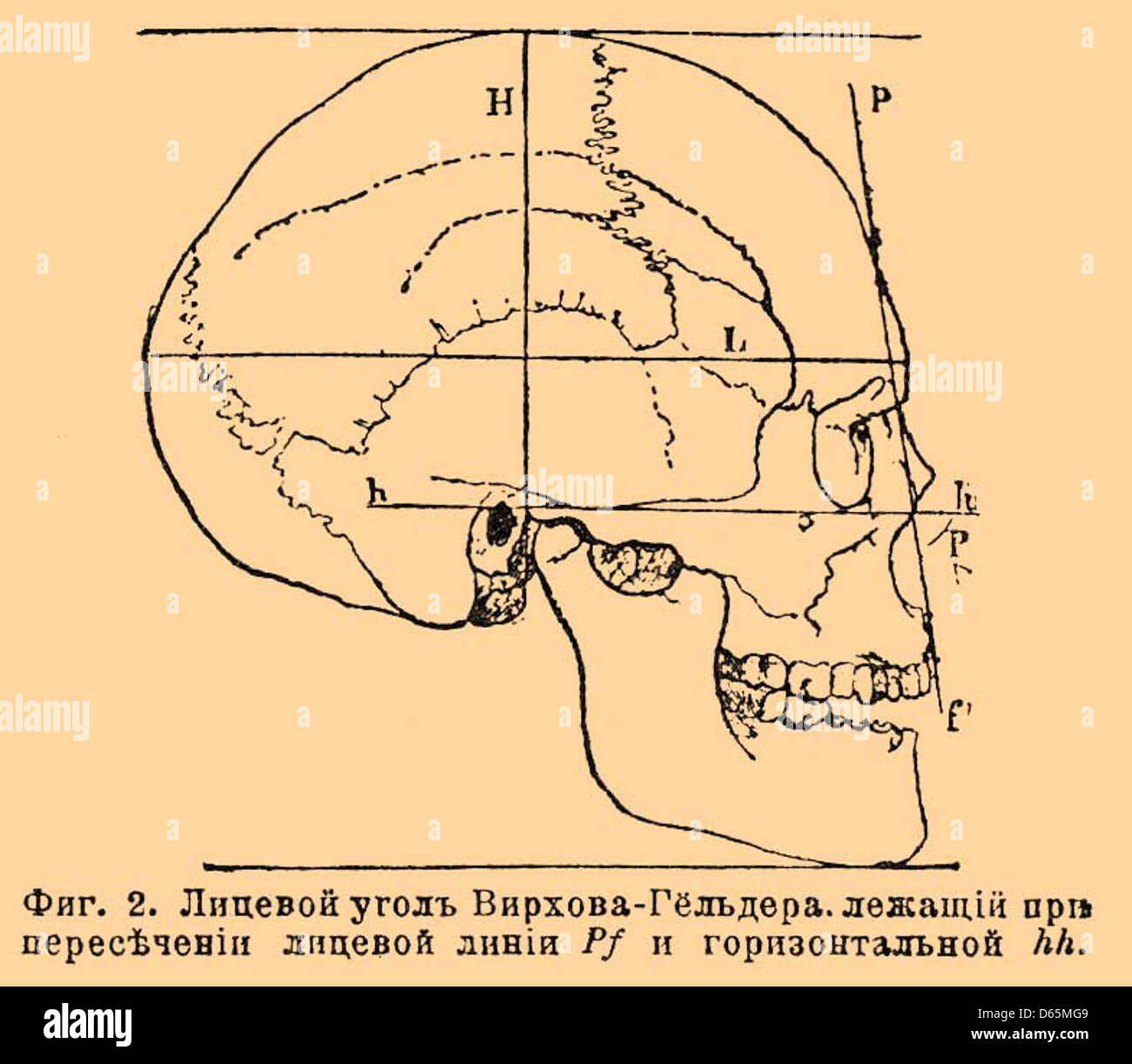 An illustration from the Brockhaus & Efron Encyclopedic Dictionary ...