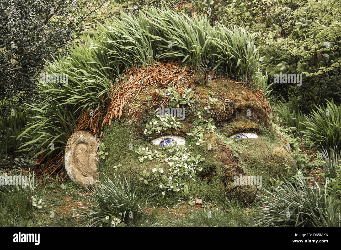 Head from The hround Cornwall UK Stock Photo - Alamy