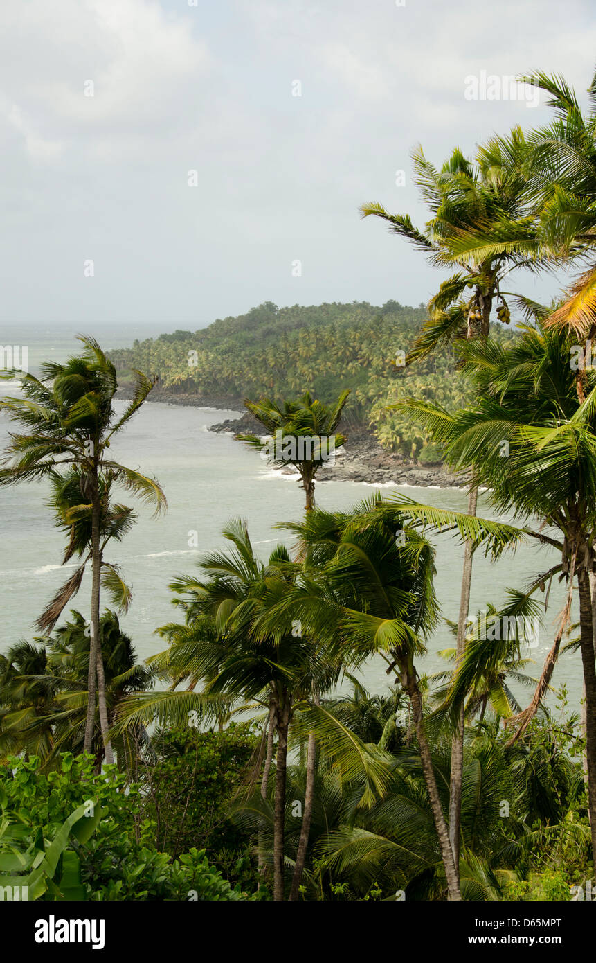 French Guiana Island From Above