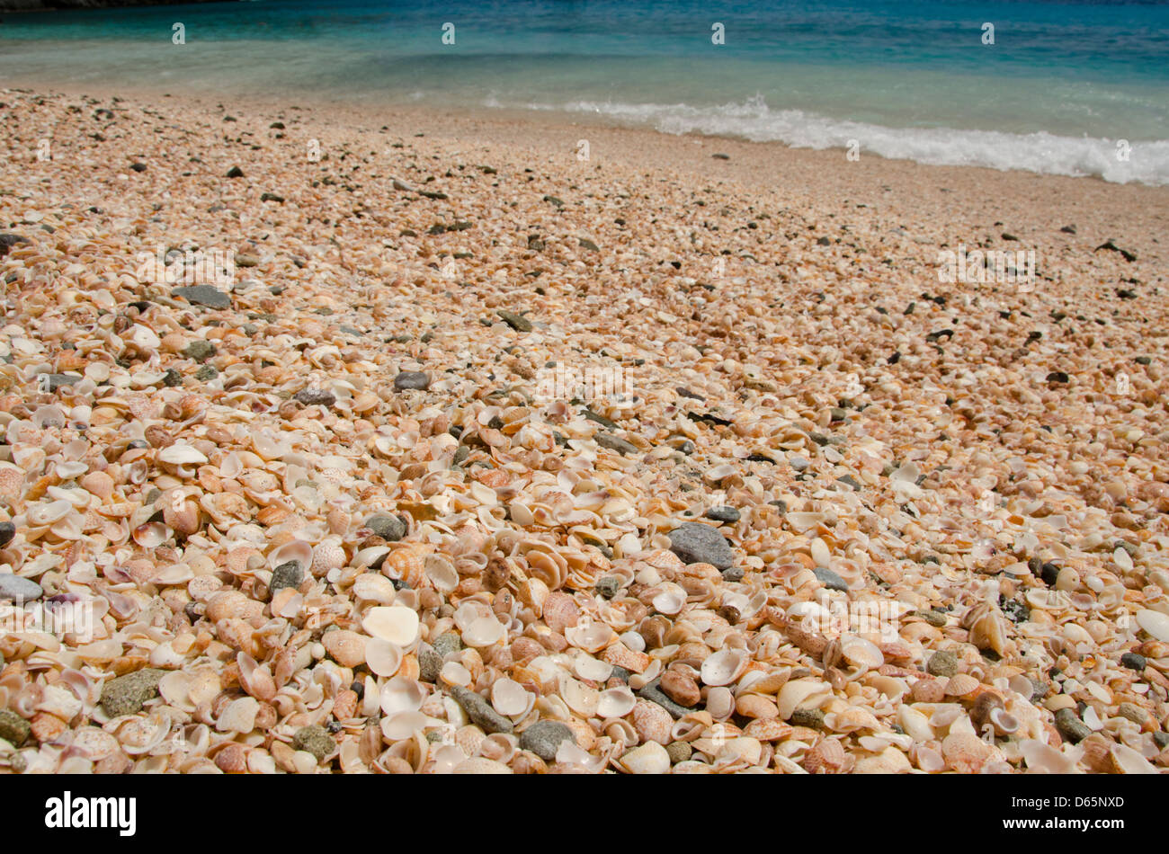 Shell beach french west indies hi-res stock photography and images - Alamy