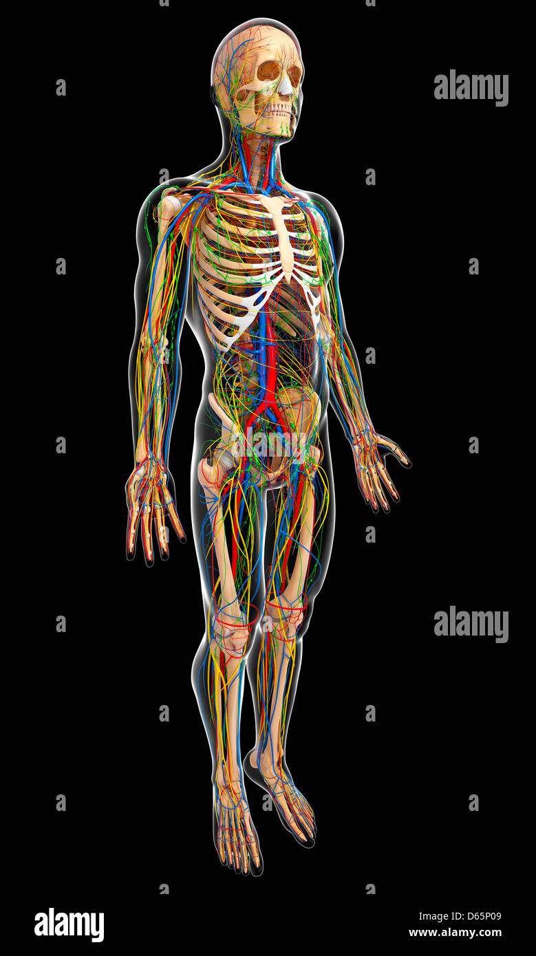 Full Body View Male Nervous High Resolution Stock Photography and ...