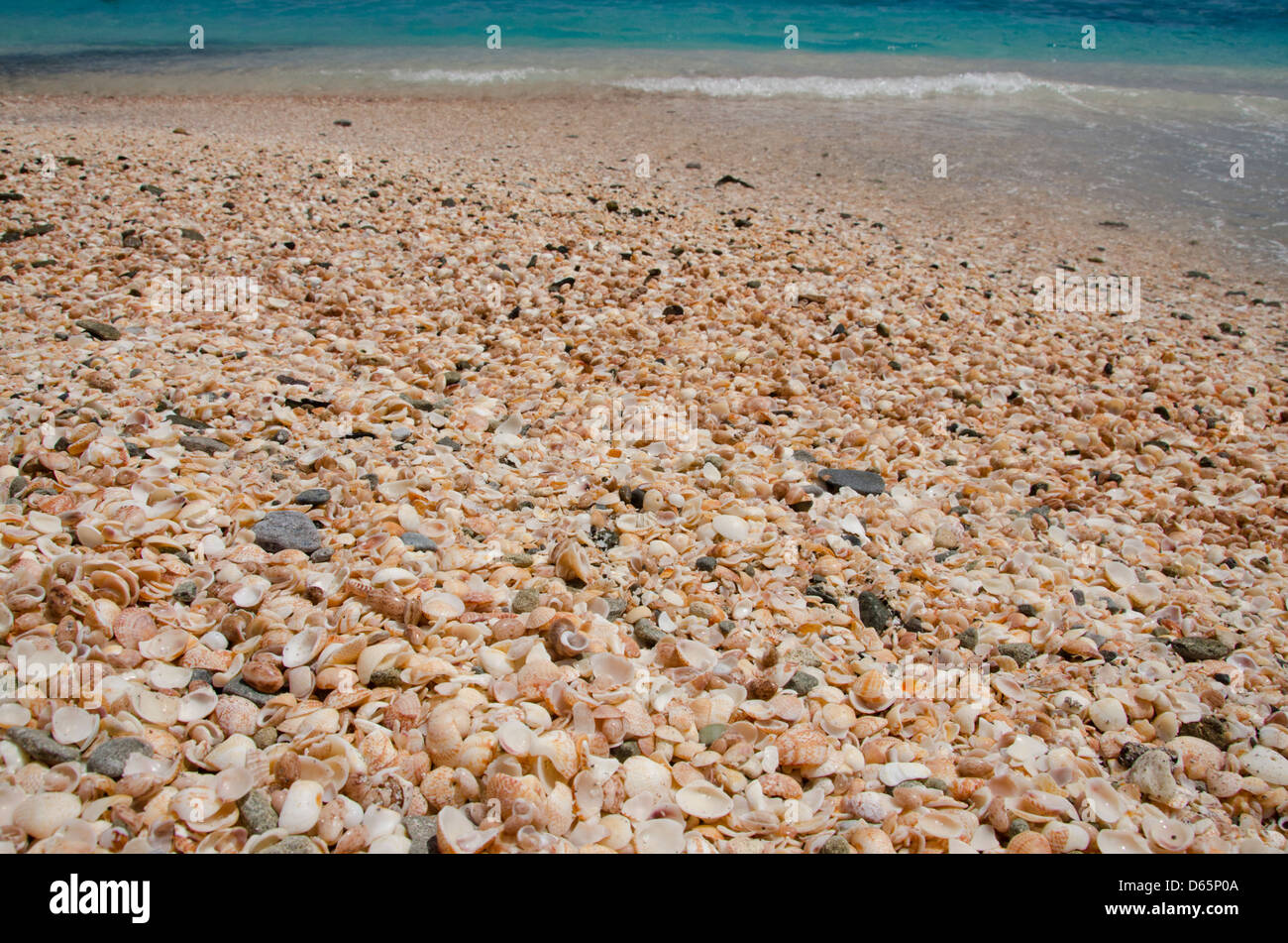 Shell beach french west indies hi-res stock photography and images - Alamy