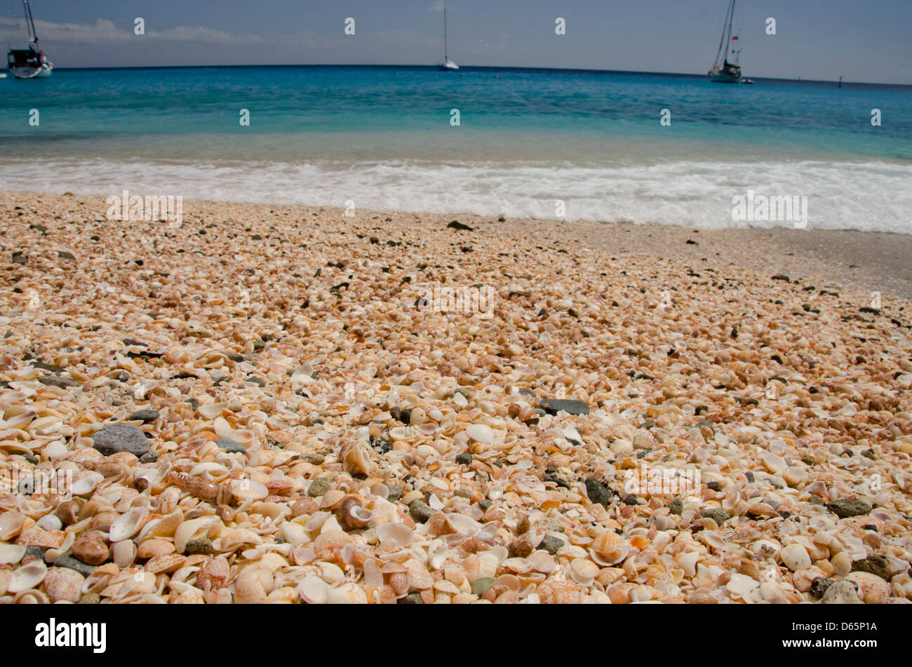 Shell beach french west indies hi-res stock photography and images - Alamy