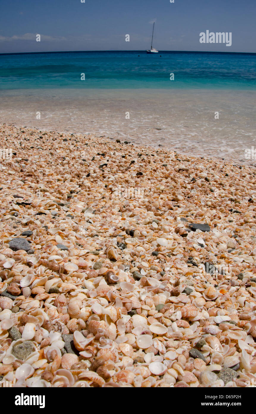 Shell beach french west indies hi-res stock photography and images - Alamy