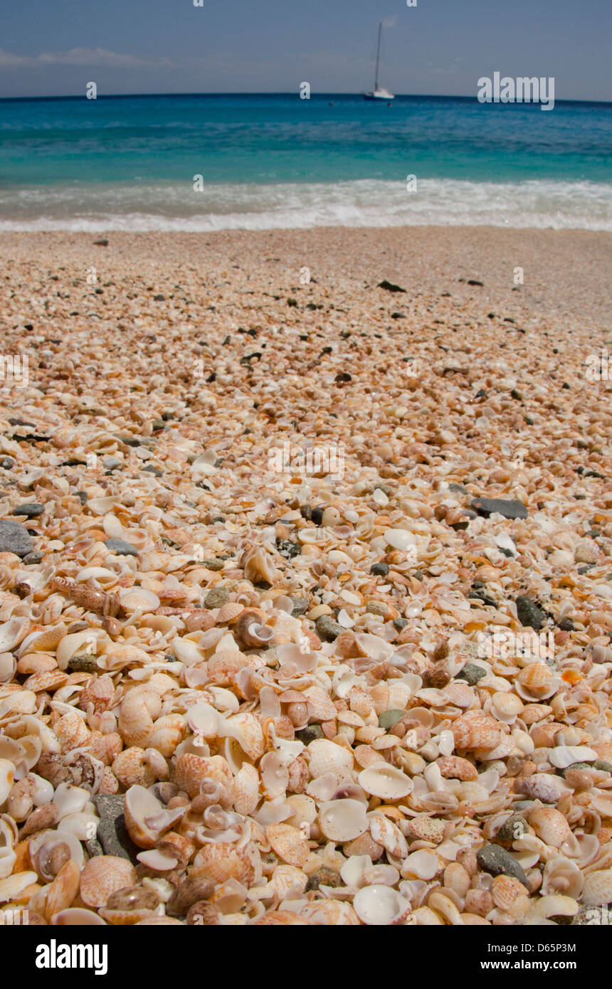 Shell beach french west indies hi-res stock photography and images - Alamy