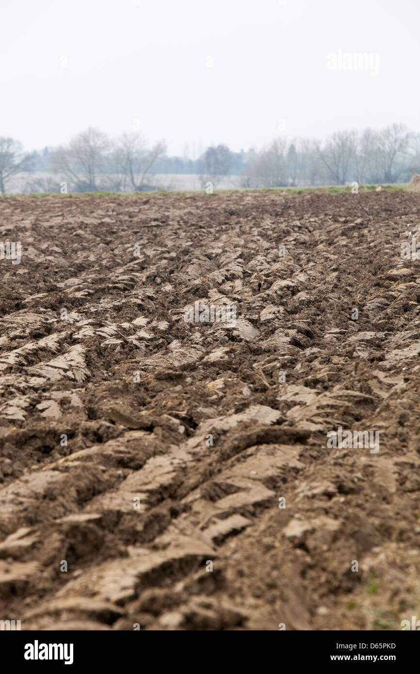 Water logged soil hi-res stock photography and images - Alamy