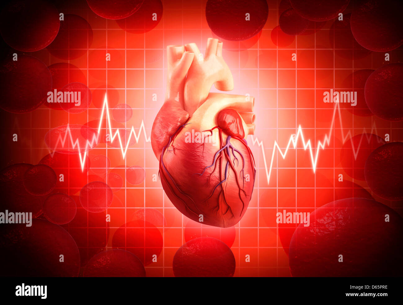 Human heart artwork hi-res stock photography and images - Alamy
