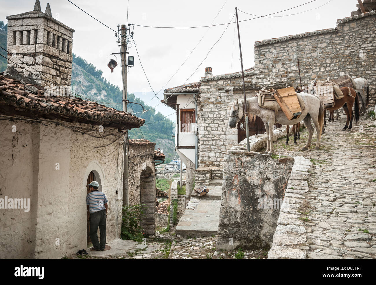 In the Mangalemi district of Berat with its ottoman period houses ...