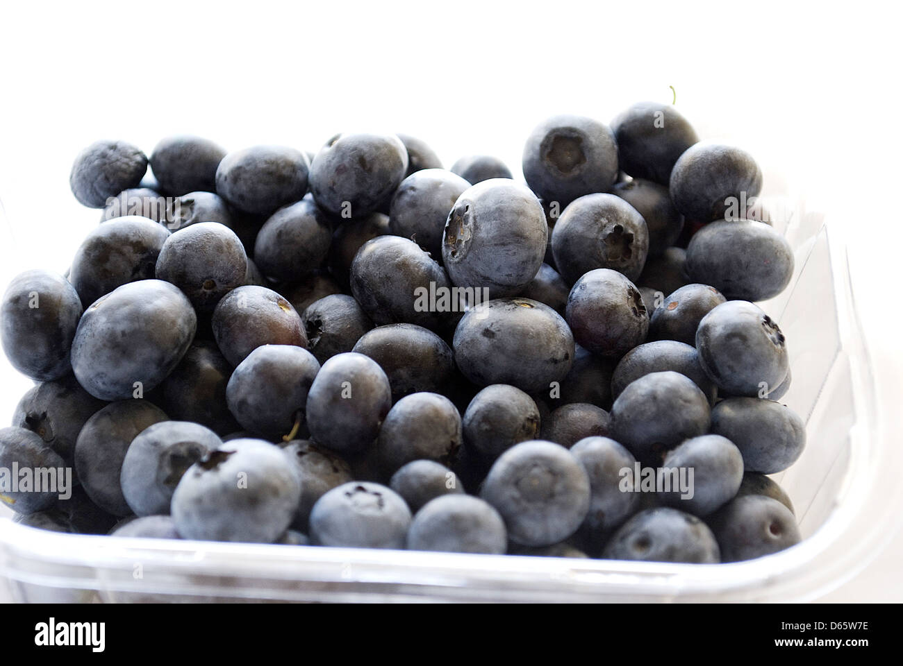 Close up blueberry plant Cut Out Stock Images & Pictures - Alamy