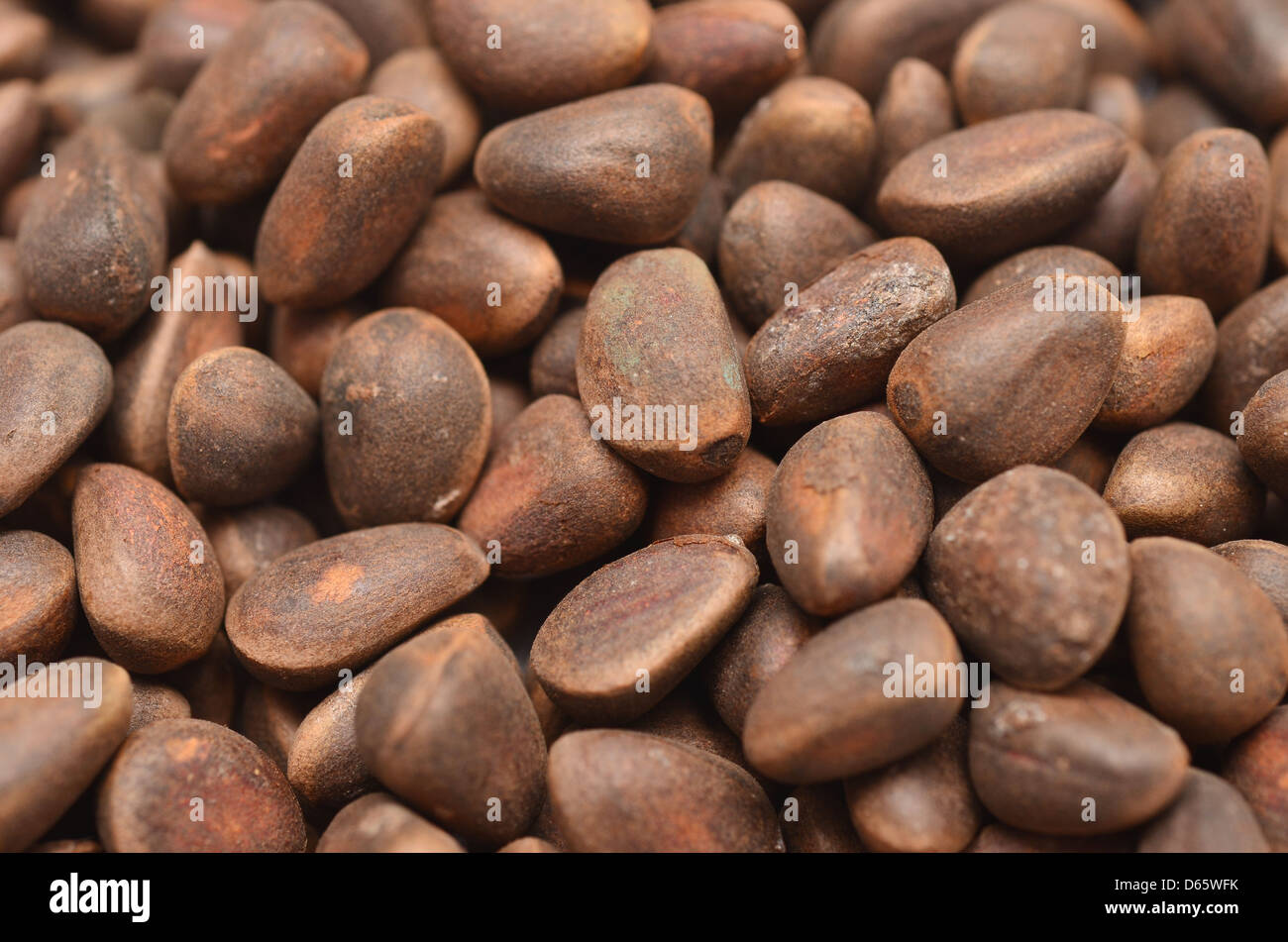 Cedar nuts hi-res stock photography and images - Alamy