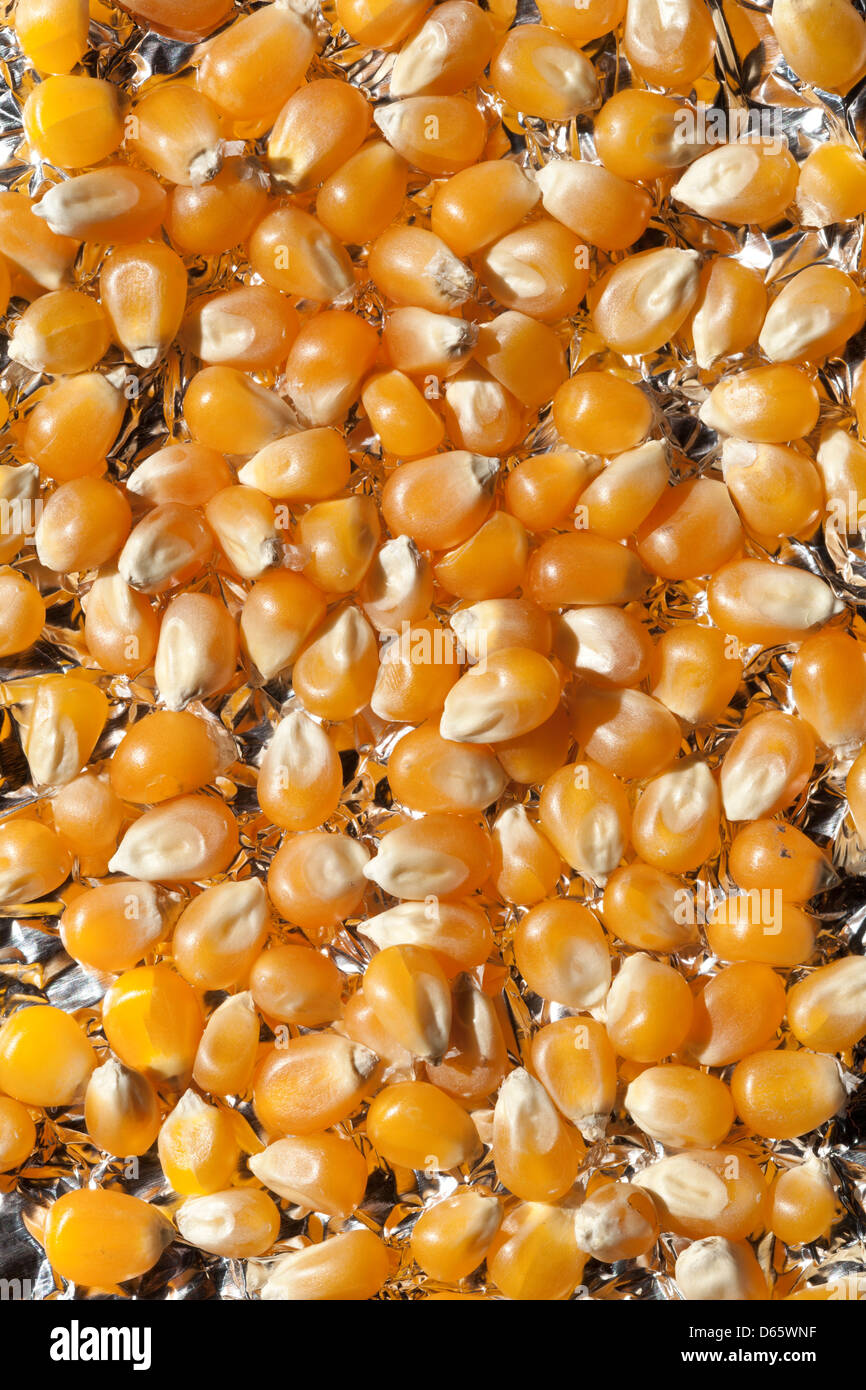 Close up of raw unpopped popcorn on aluminum surface Stock Photo - Alamy