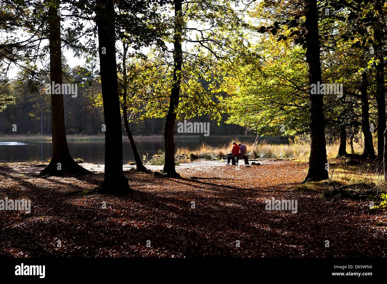 People relaxing in the shade hi-res stock photography and images - Alamy