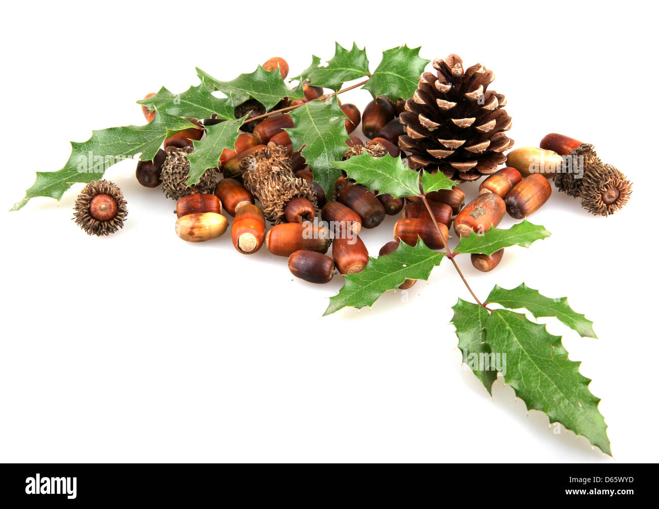 set of autumn nature elements Stock Photo - Alamy