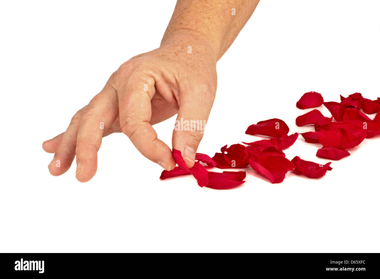 Hand rose petals hi-res stock photography and images - Alamy