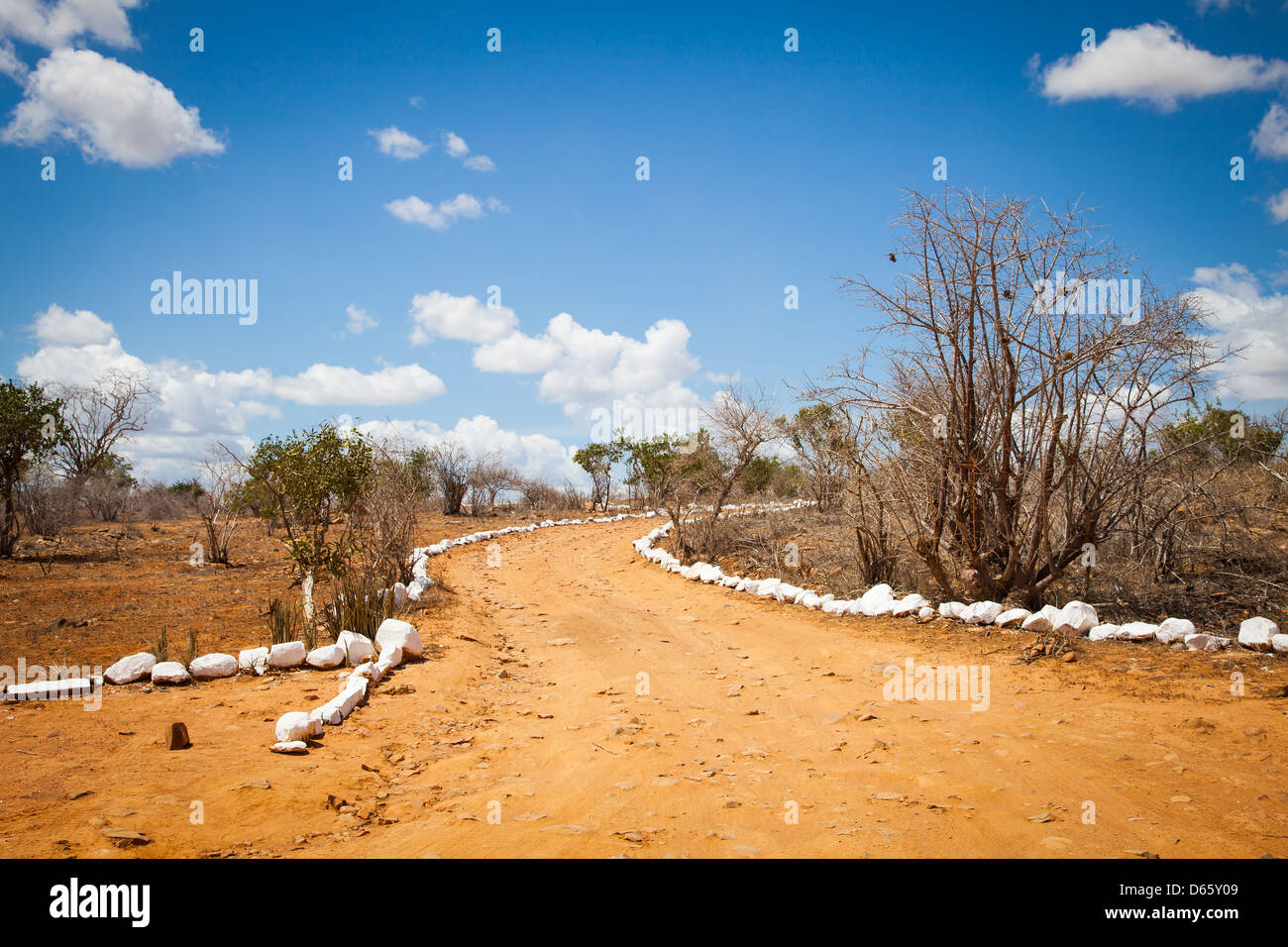 Savana hi-res stock photography and images - Alamy