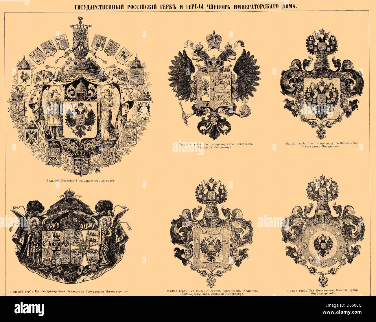 An illustration from the 'Brockhaus and Efron Encyclopedic Dictionary ...