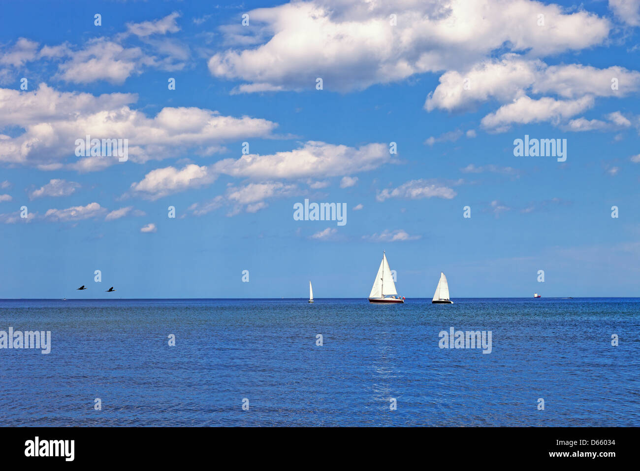 Several yachts sailing on the Baltic Sea Stock Photo - Alamy