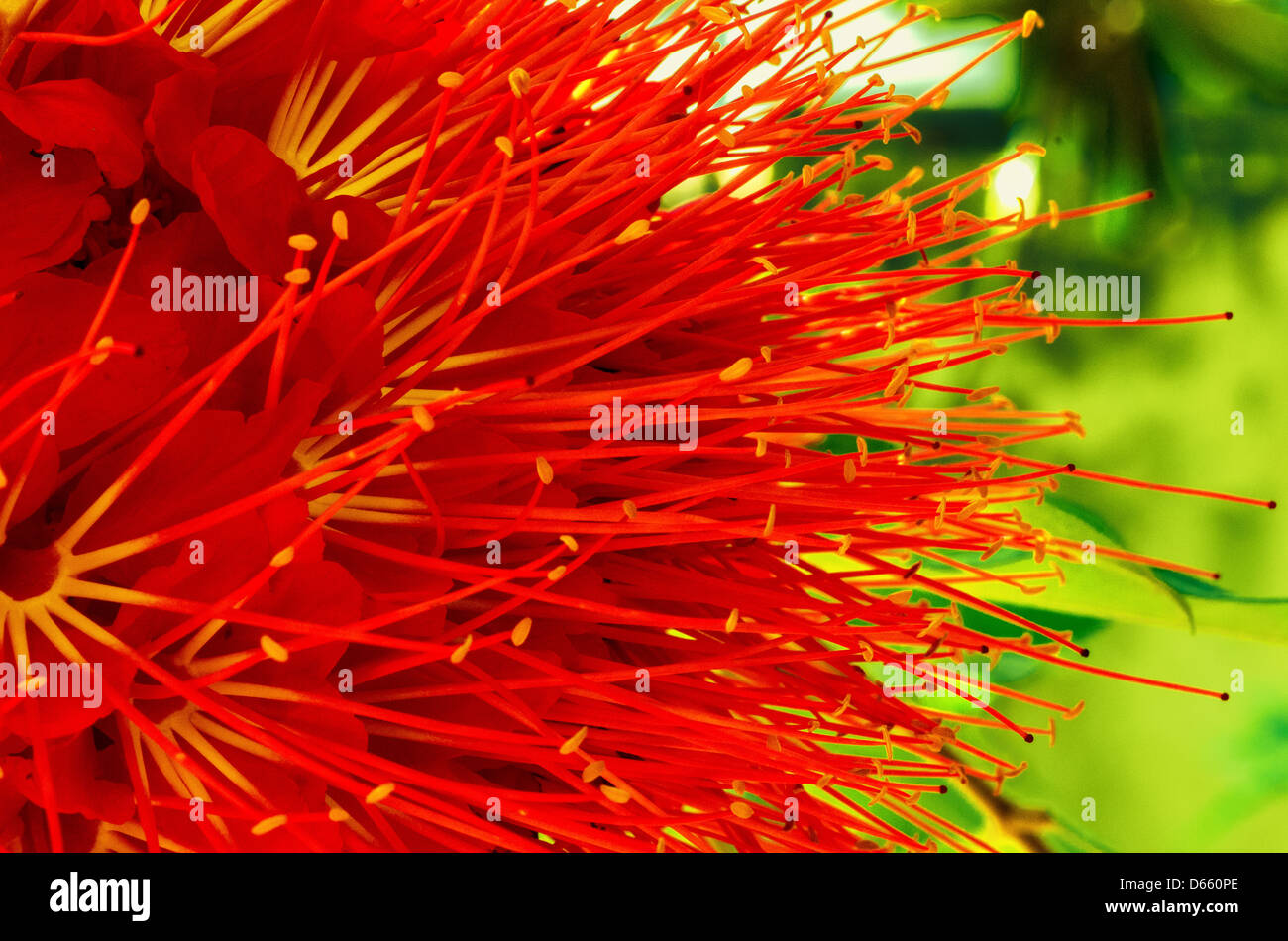 Reaching For Stock Photo Alamy reaching-for-stock-photo-alamy