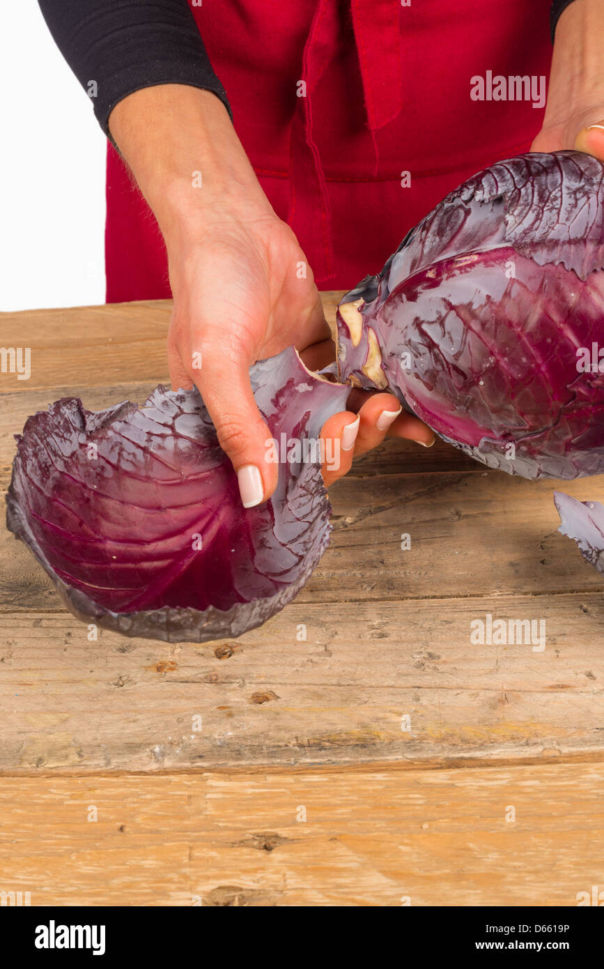 Female hands holding a fresh red cabbage Stock Photo - Alamy