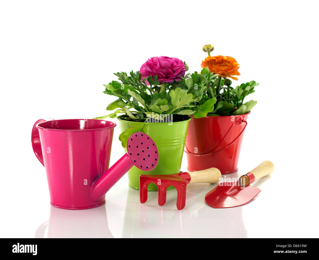 red and green bucket with spring flowers and gardening tools Stock ...