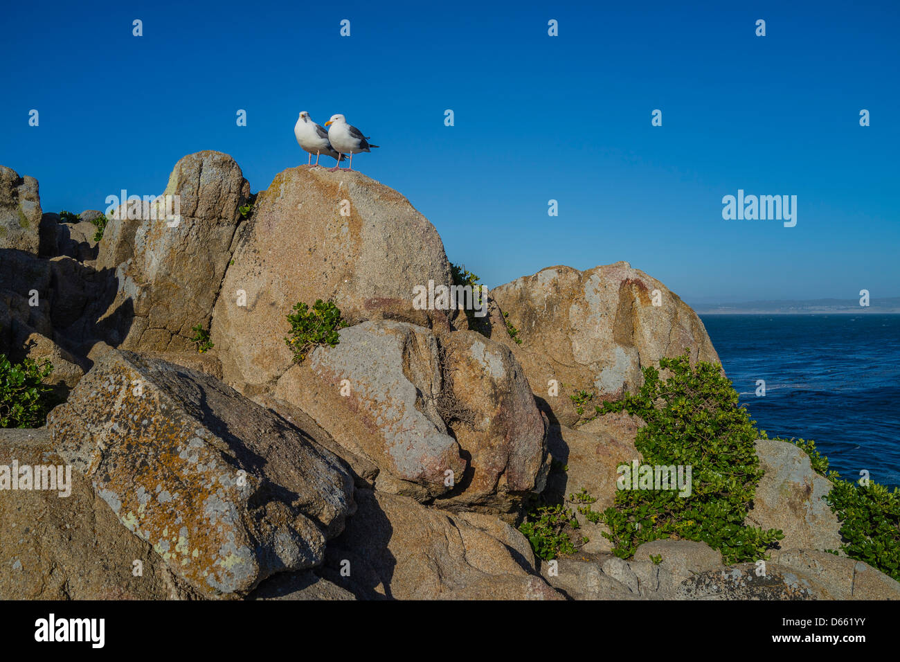 Large Rock Outcropping High Resolution Stock Photography and Images - Alamy
