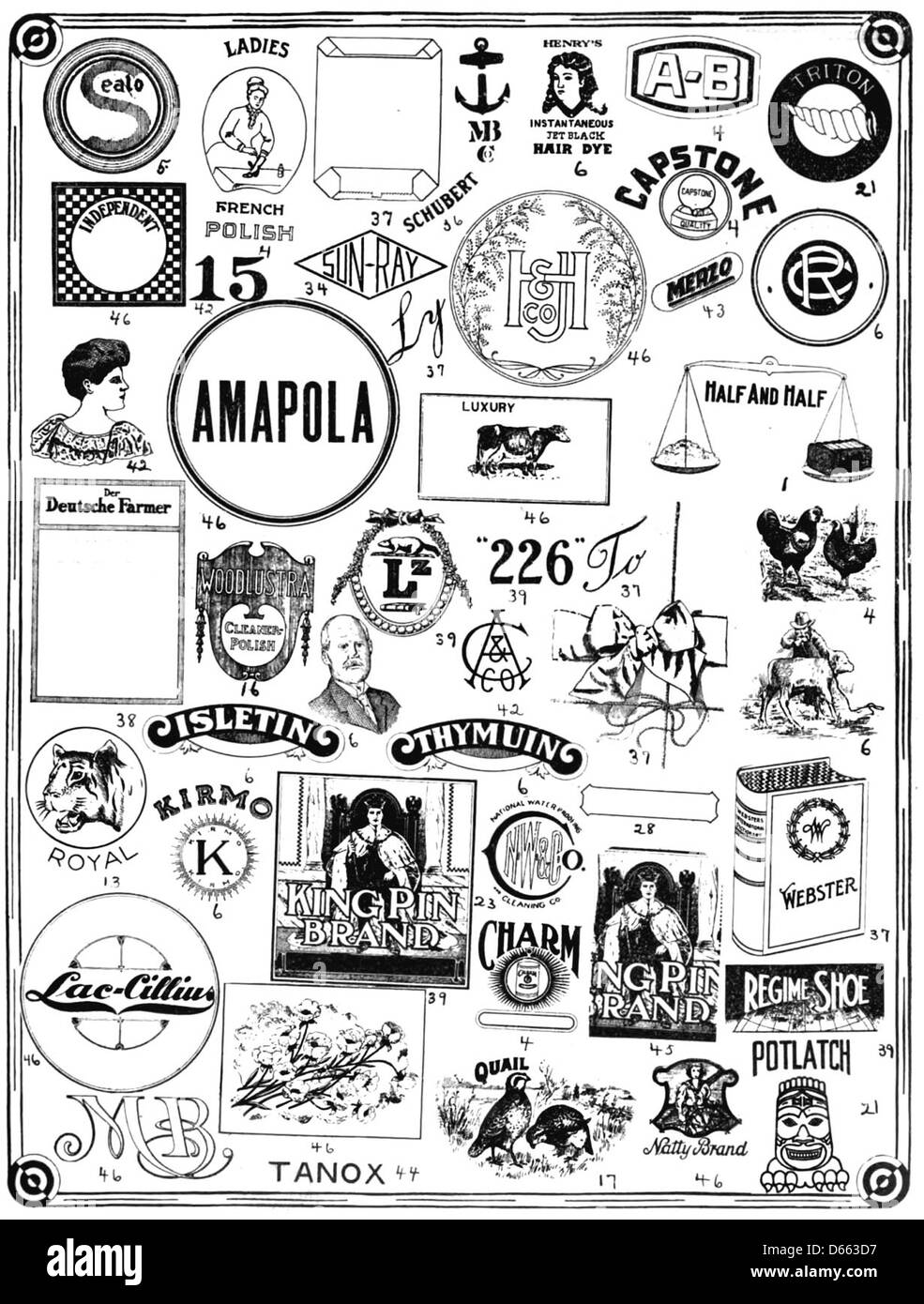 An illustration of the 'Amapola' logo, featuring a vintage design. The ...