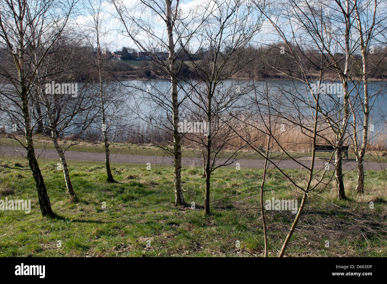 Babbs Mill Lake, Kingshurst, West Midlands, England, UK Stock Photo - Alamy