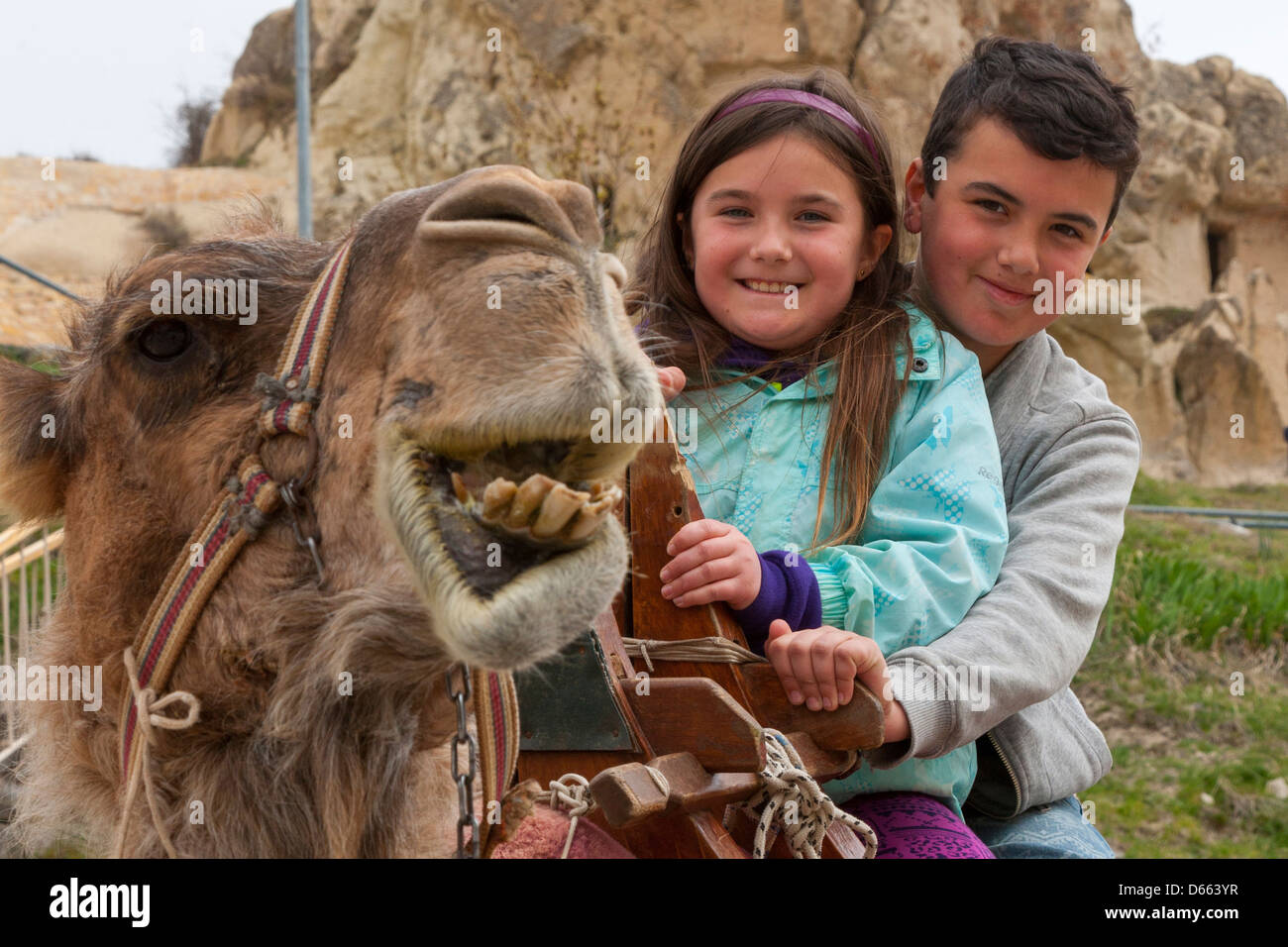 Turkish Camel Stock Photos & Turkish Camel Stock Images - Alamy