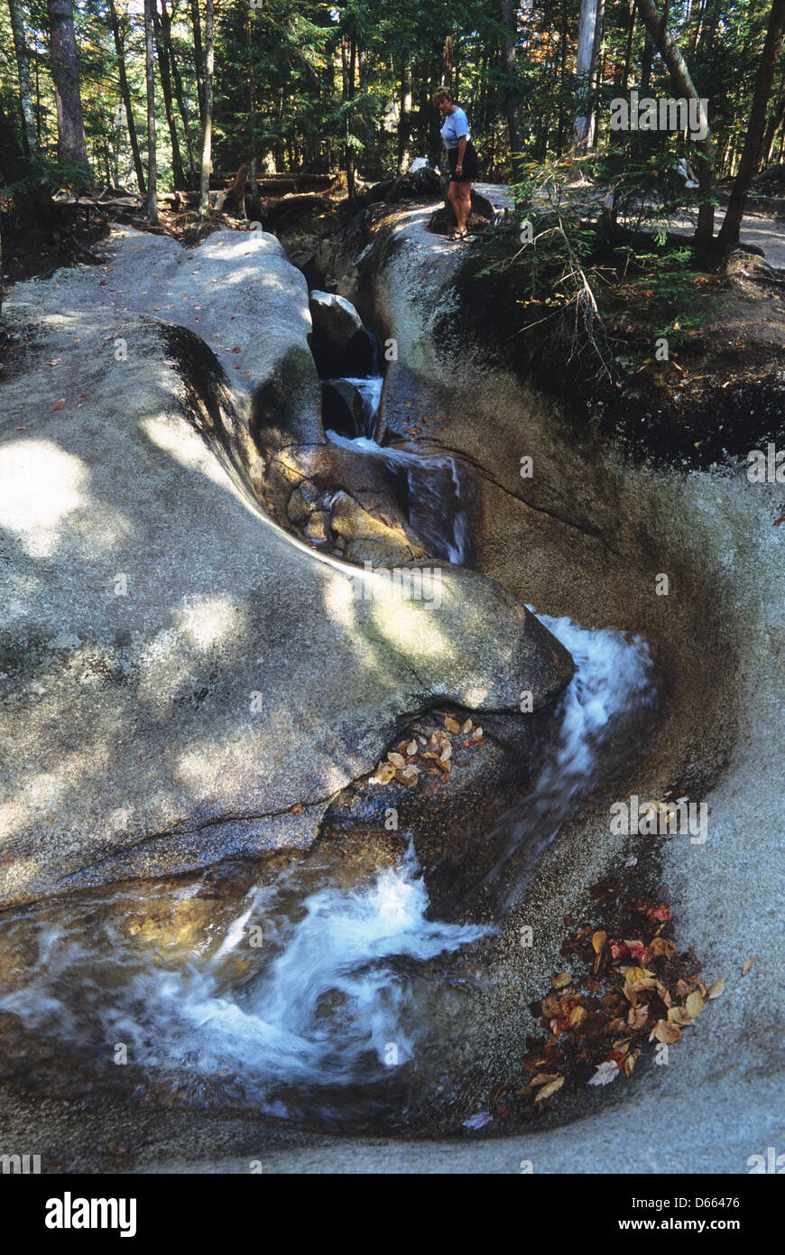 Elk281-1758v New Hampshire, White Mns, Franconia Notch, The Basin ...