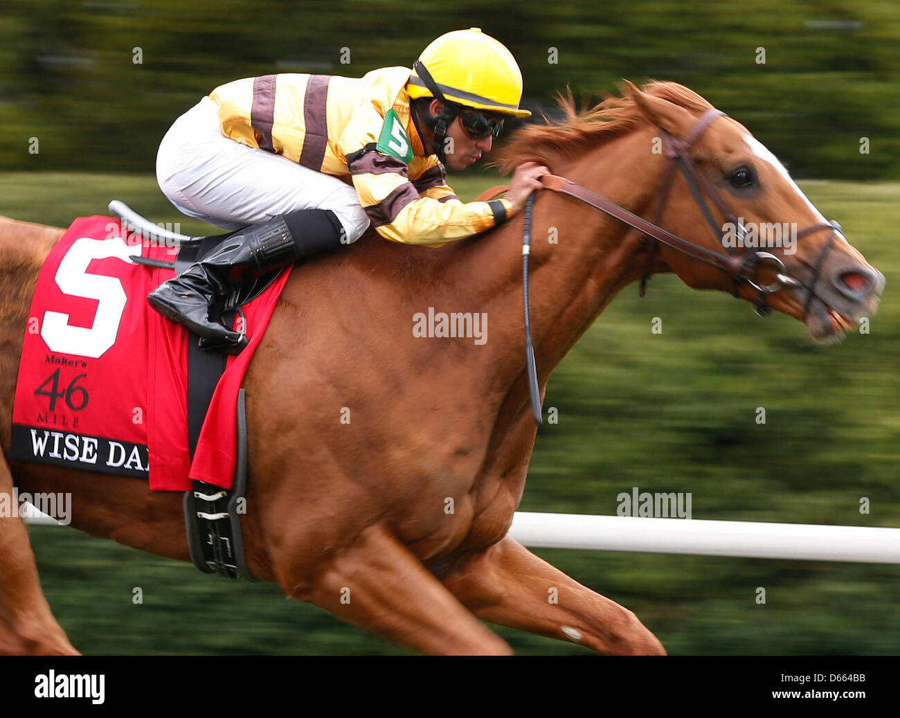 5 photos in 1 image hi-res stock photography and images - Alamy