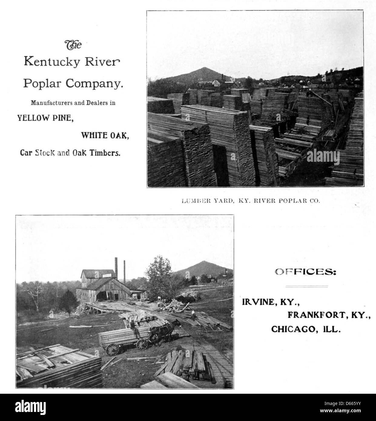 This historical narrative recounts the Boston Massacre of March 5, 1770 ...