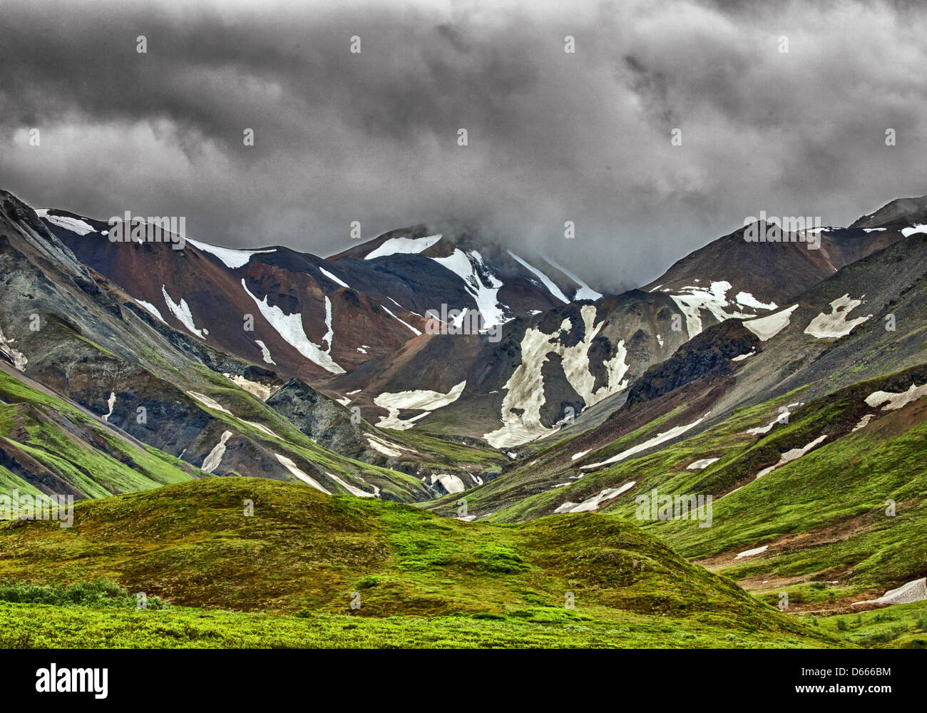 June 27, 2012 - Denali Borough, Alaska, US - Under gathering storm ...