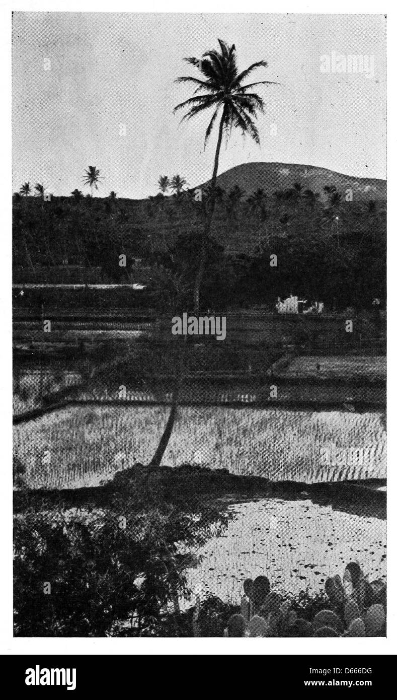 A 1920 photograph or illustration representing the natural beauty of ...