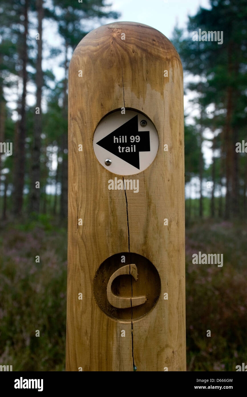 Culbin forest scotland hi-res stock photography and images - Alamy