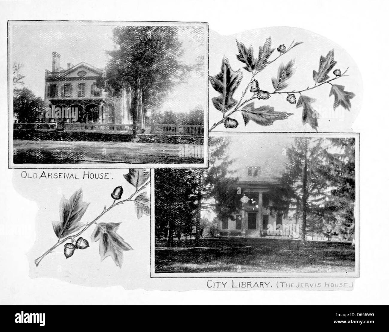 This 1894 photograph captures a scene from Rome, New York, including ...