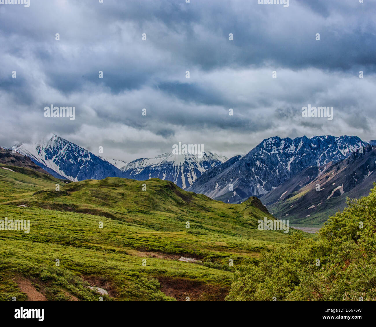 Denali ranger station hi-res stock photography and images - Alamy