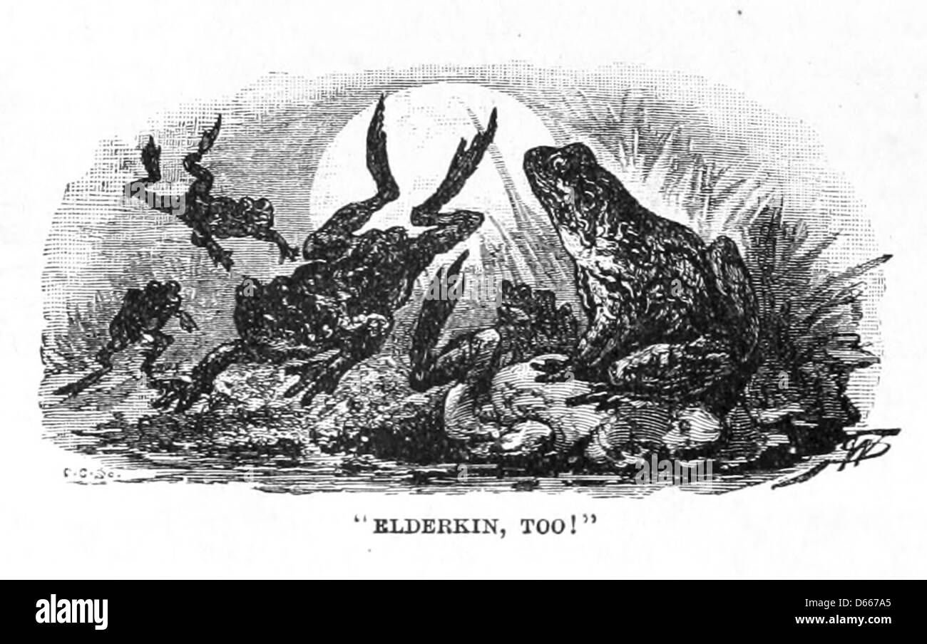 A spool of thread & how it is made (1879 Stock Photo - Alamy