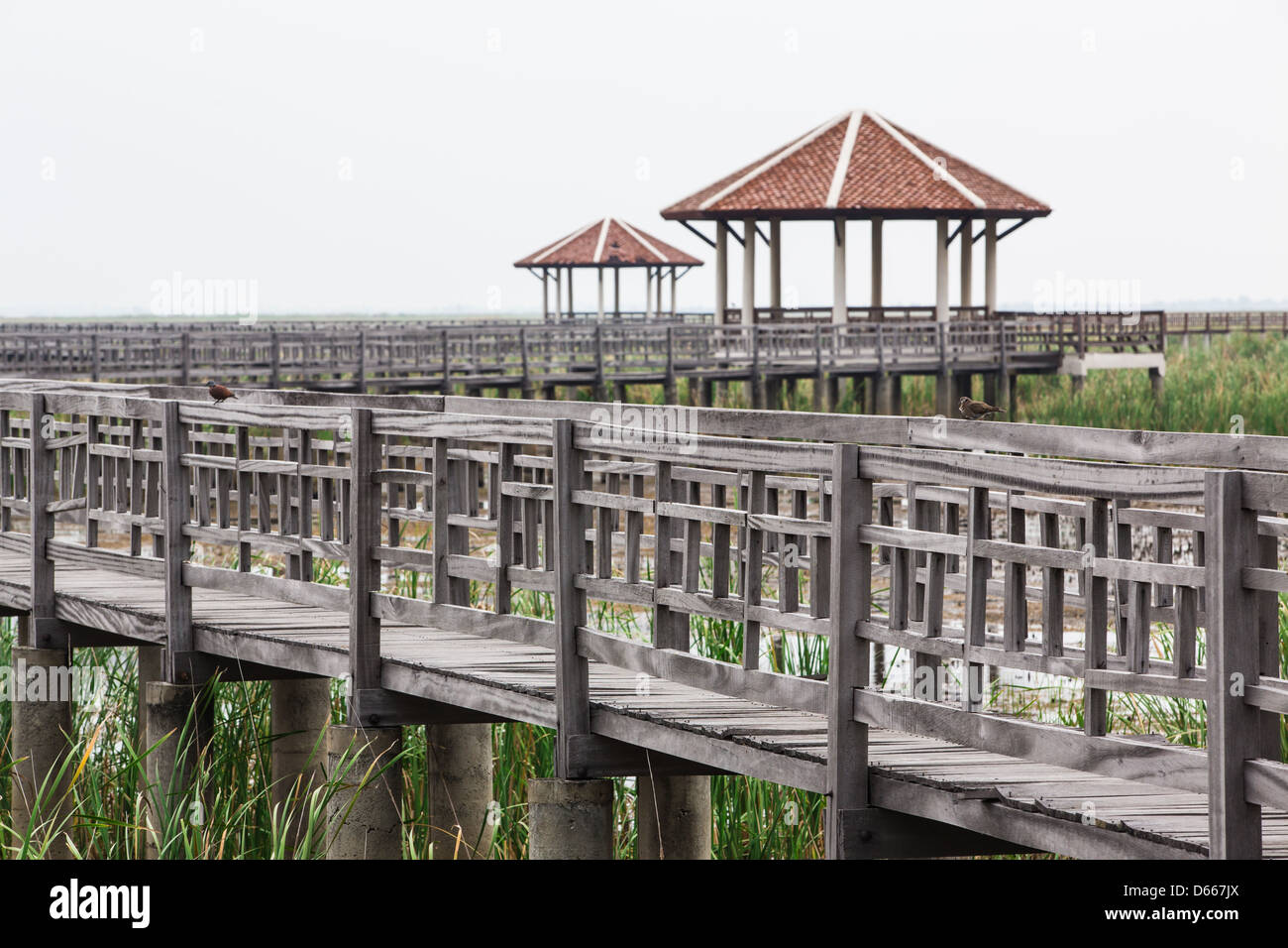 Wood Bridge at Sam-Roy-Yod Nation park ,Prachuapkhirikhan Province ...