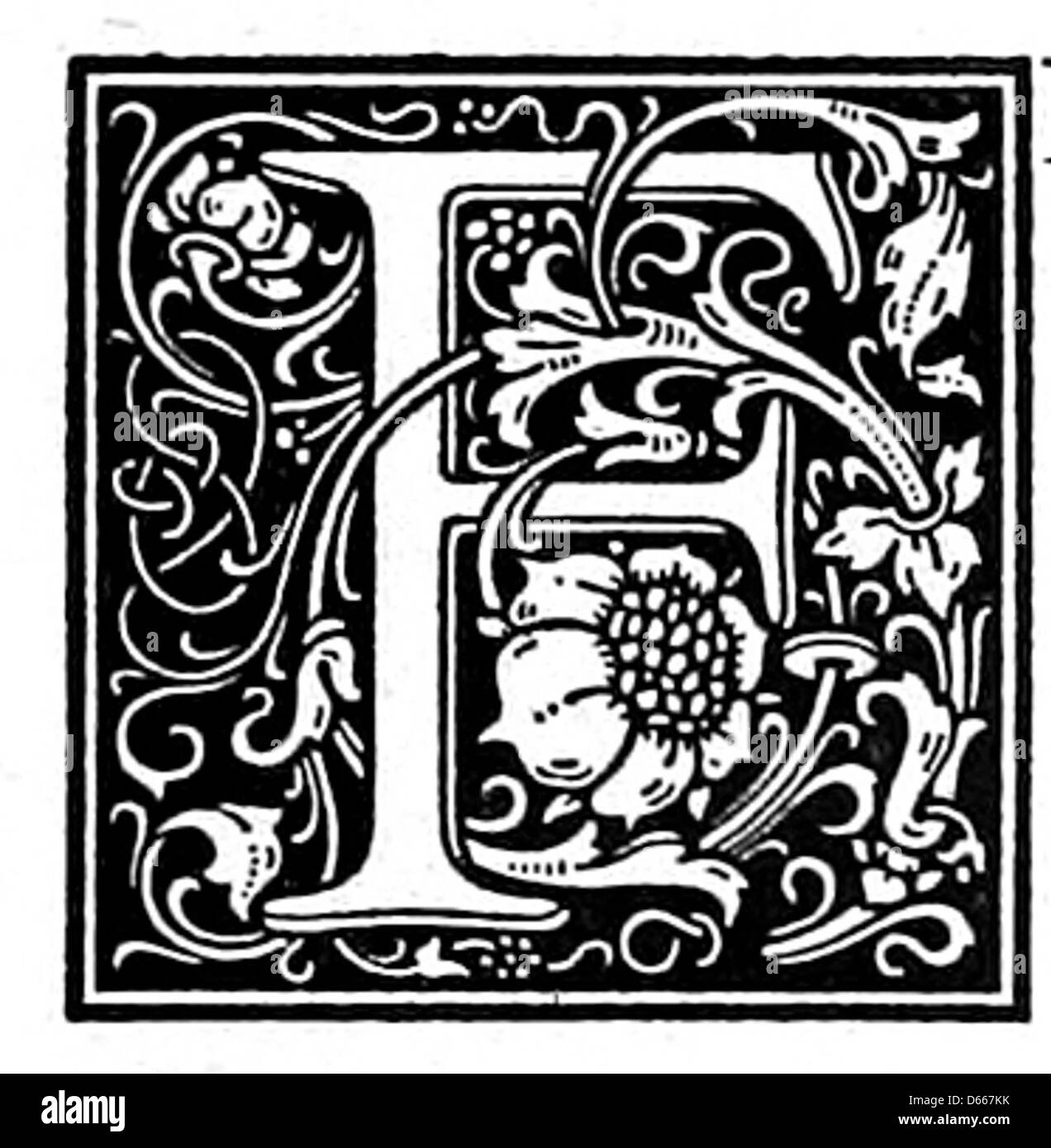 Ornate capital letters hi-res stock photography and images - Alamy