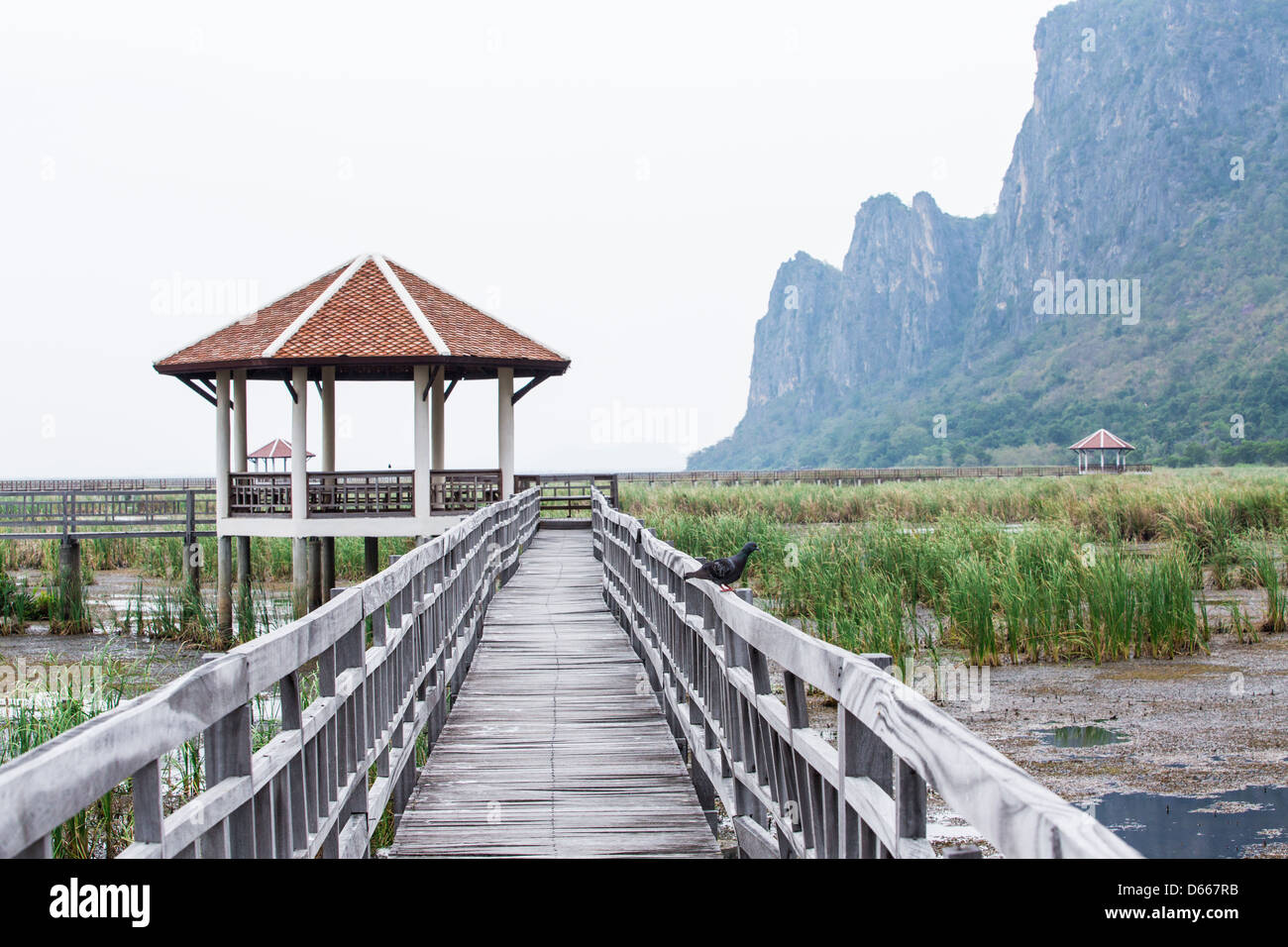 Wood Bridge at Sam-Roy-Yod Nation park ,Prachuapkhirikhan Province ...