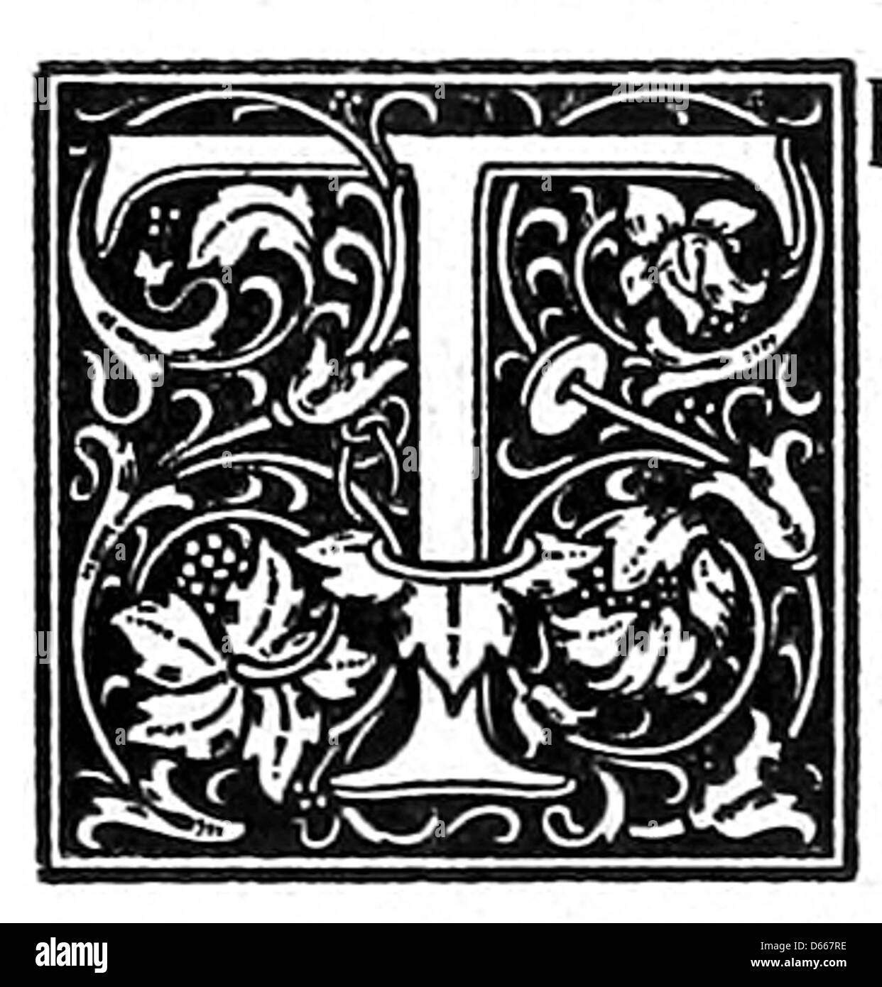 Showcasing student Cut Out Stock Images & Pictures - Alamy