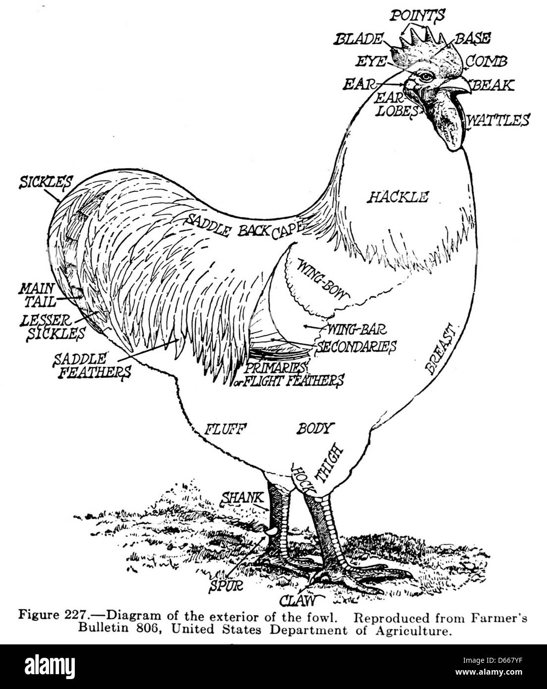 This 1922 diagram from the United States Department of Agriculture ...